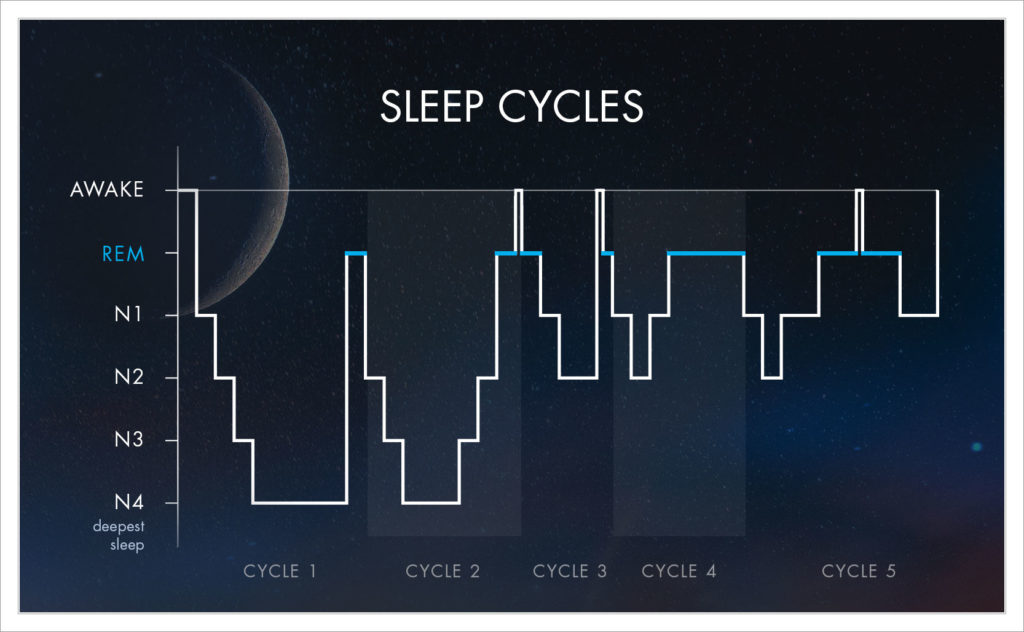 First Sleep & Second Sleep