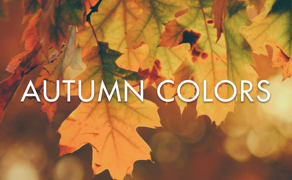 Autumn Colors