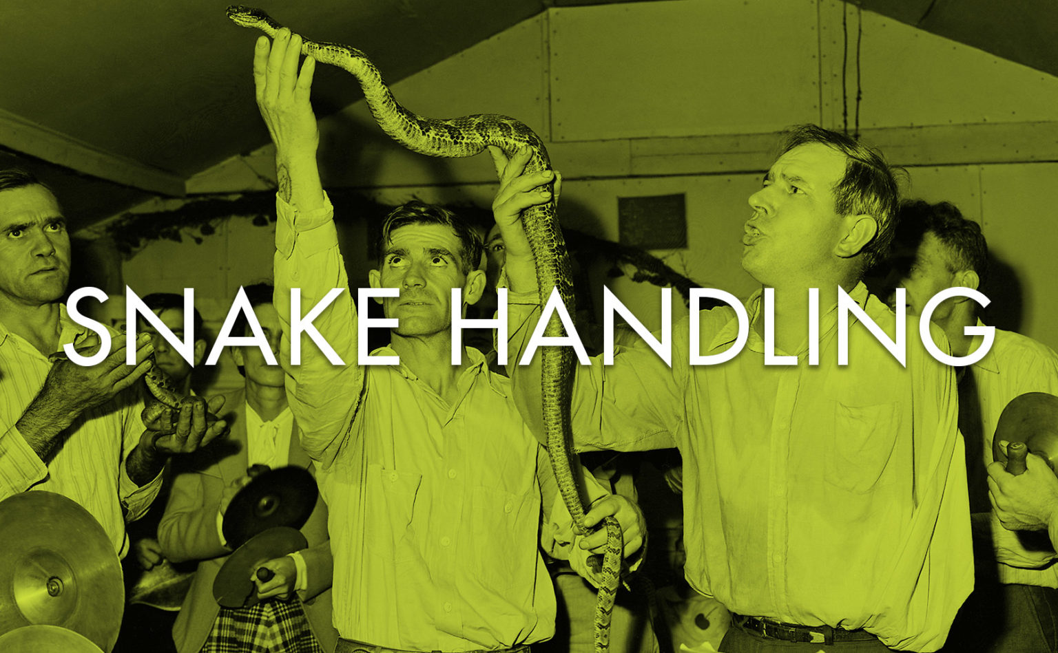 Snake Handling
