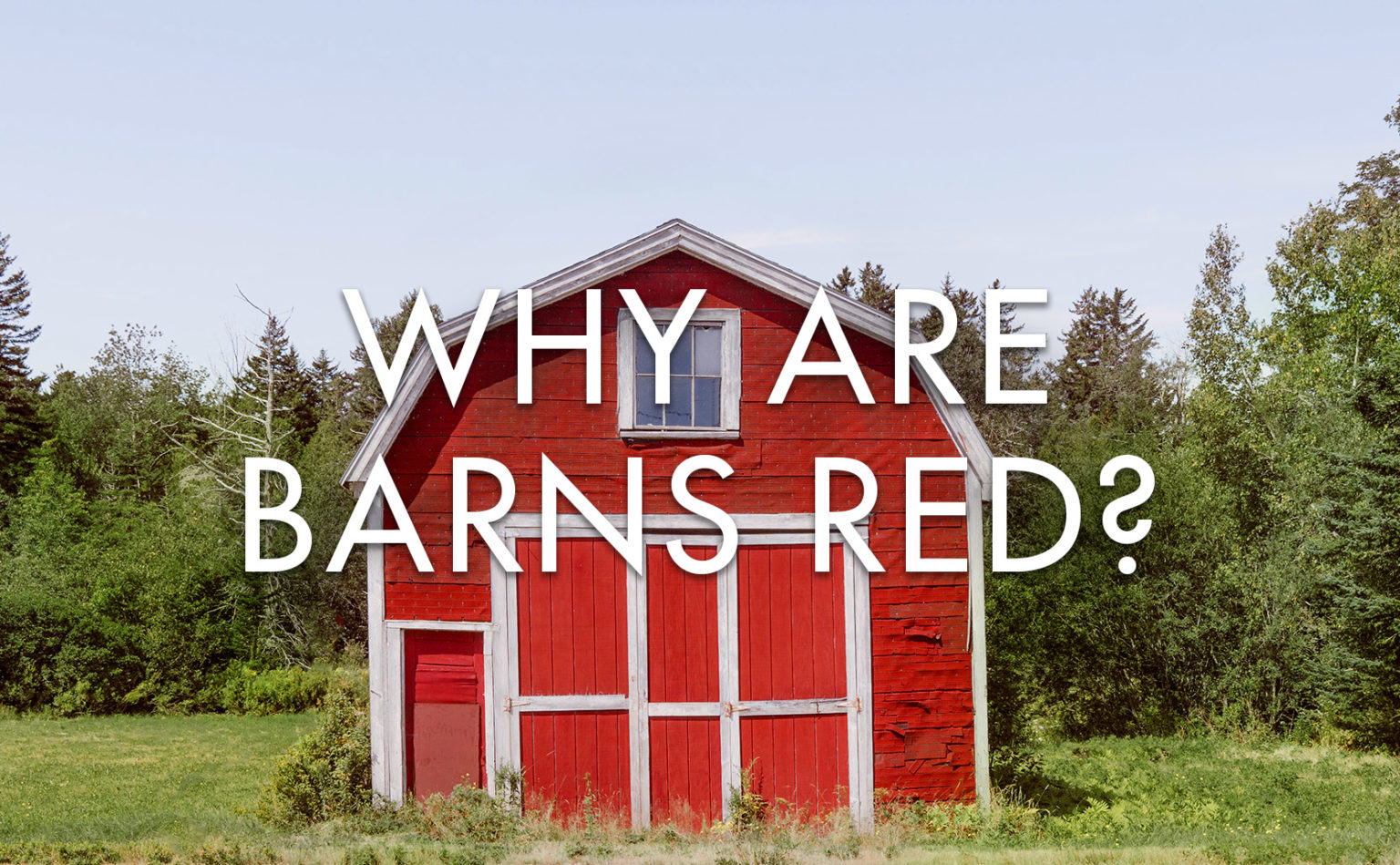 Why are barns red?