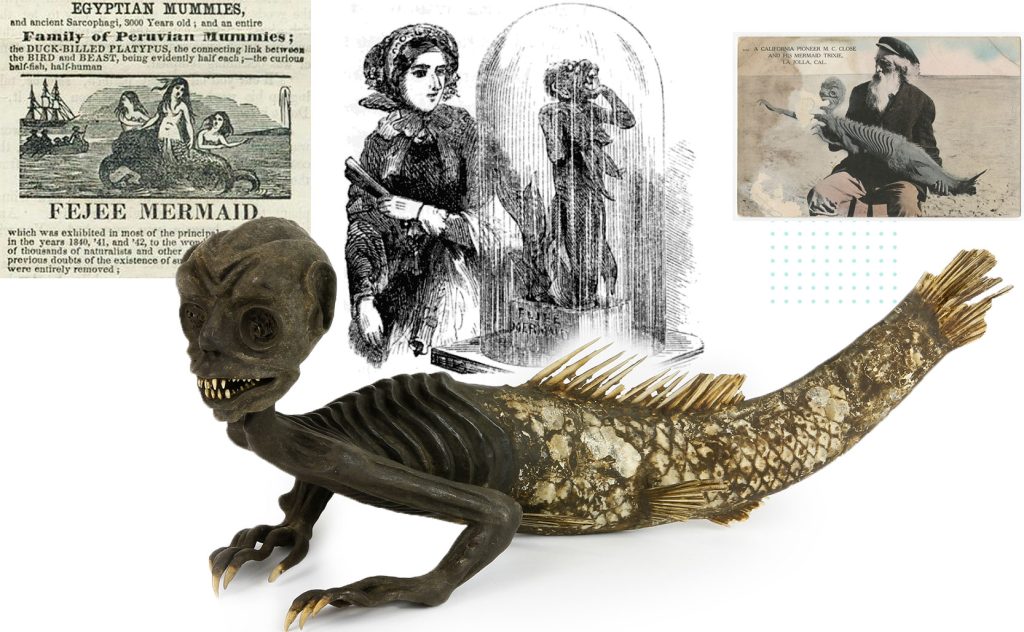 Fiji Mermaid