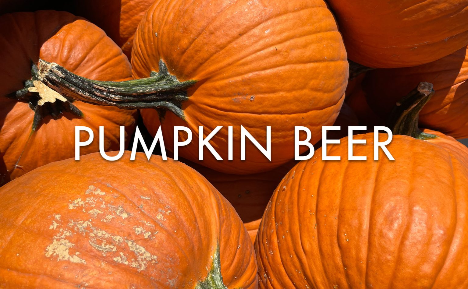 Pumpkin Beer